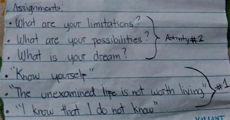 Assignments What Are Your Limitations Studyx