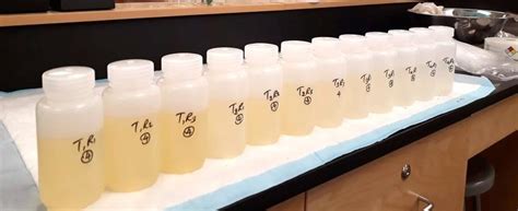4 Collected Leachate During One Of The Leaching Events Download Scientific Diagram