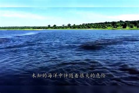 男子潜水遭到袭击，鲨鱼一口咬了过来，太刺激了！