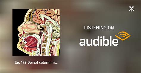 Ep 172 Dorsal Column Nuclei Anatomia Umana Podcasts On Audible