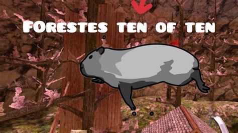 Best Gtag Map YouTube