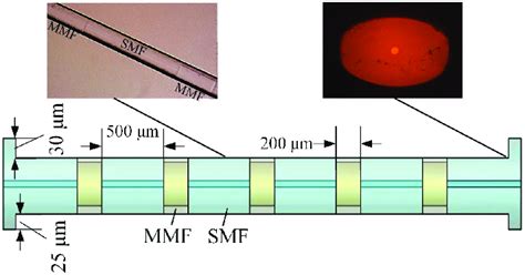 Scheme Diagram Of The Ssc Lpfg Fiber Structure Download Scientific