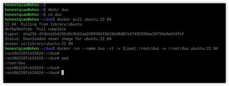 使用docker搭建基于ubuntu22 04的milk v duo开发环境 duo milkv community
