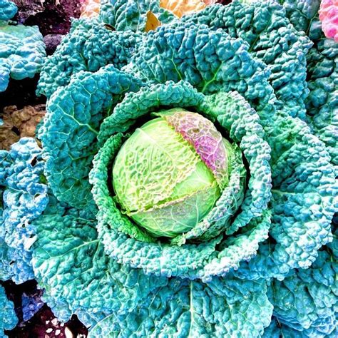 Famiglia Pinto Famiglia Pinto On Threads