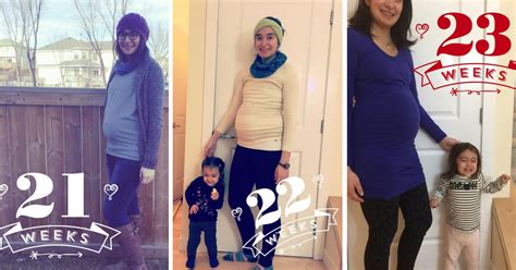 23 Weeks Pregnant 23 Weeks Pregnant Belly 23 Weeks 45 Off