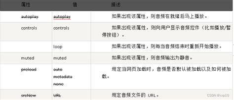 学习记录1 csdn博客