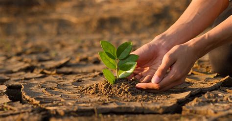 The Basics Of Climate Change