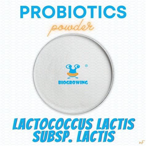 Pro Grade Lactococcus Lactis Subsp Lactis Lll G25 Probiotics Powder Probiotics And Lactococcus