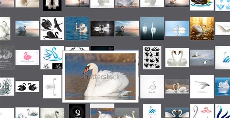 Introducing Mouseover Image Preview The Shutterstock Blog