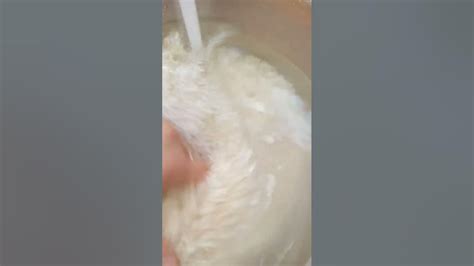 How To Wash Rice Before Cooking Rice Cooking Viral Trending Asmr Video Food Foodie Youtube