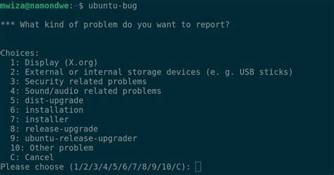 How To Report Bugs In Ubuntu