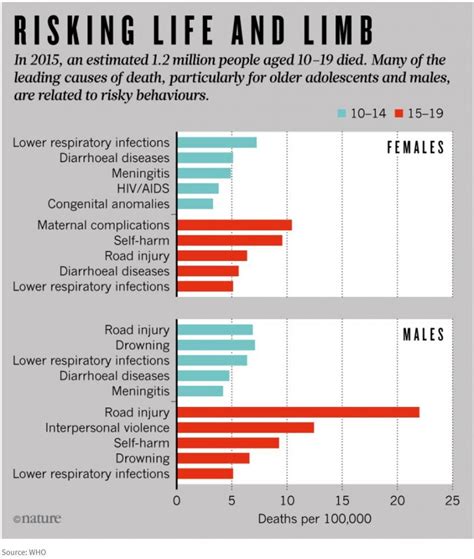 Sex Drugs And Self Control How The Teen Brain Navigates Risk Portside