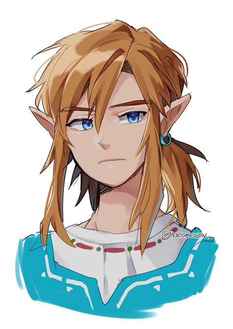 Link The Legend Of Zelda And 1 More Drawn By Hanabelink Danbooru