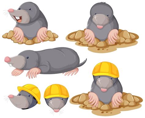 두더지 만화 캐릭터의 집합 무료 벡터