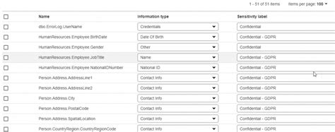 Data Categorization For Adventureworks Using Sql Data Catalog Redgate