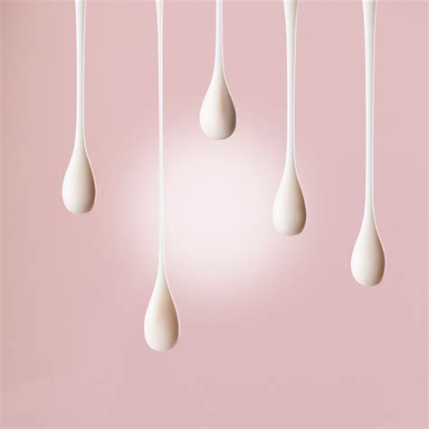 프리메라 차가운 바람💨에 맞서기 위한 착붙 탄력세럼 단백질이 풍부한 검은콩 유래 낫또검이