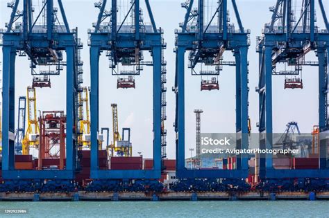 산업 항구 기중기는 심해 항구에 선상에 선적 수입품 수출 콘테이너 상자 선적 기중기를 가진 산업 항구 수입품 및 수출 사업 물류 회사에 있는 콘테이너 배를 들어 올립니다 0