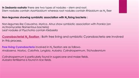 Biological Nitrogen Fixation Root Nodules Formationpptx