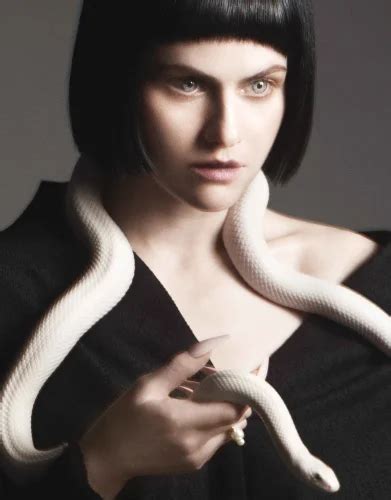 Alexandra Daddario Poster 1681458 Online Best Prices