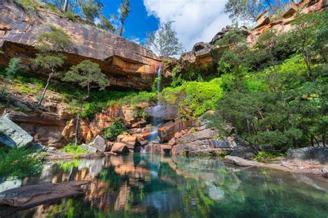 Carnarvon Gorge And Sandstone Wilderness Visit Capricorn Coast