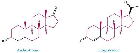 Compare The Structures Of The Male Sex Hormone And A Female Quizlet