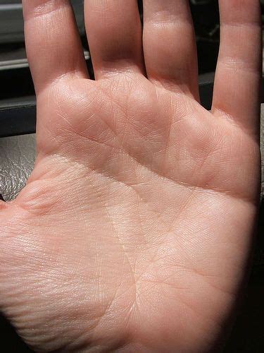 How To Read Palms A Complete Guide With Pictures Palm Reading Palmistry Palm Reader