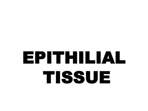 Epithelial Tissue Ppt