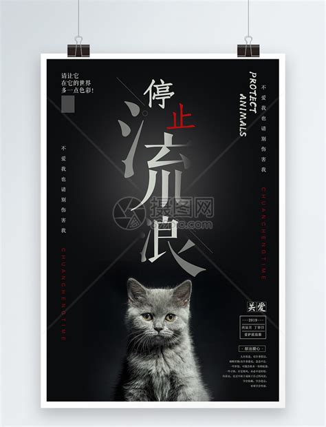 停止流浪海报模板素材 正版图片401337800 摄图网