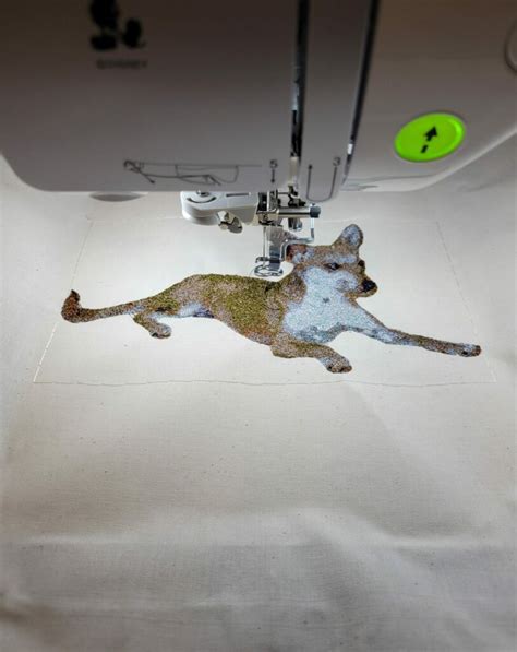How To Digitize Photos For Embroidery Tutorial