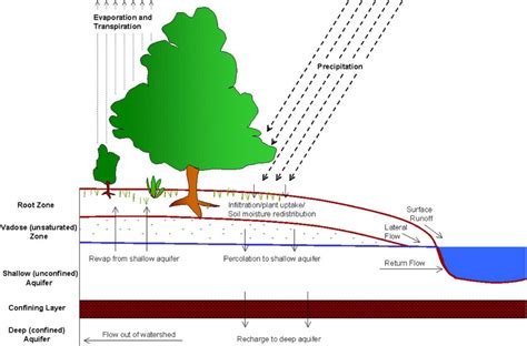 Schematic Representation Of The Main Hydrological Fluxes In A Water