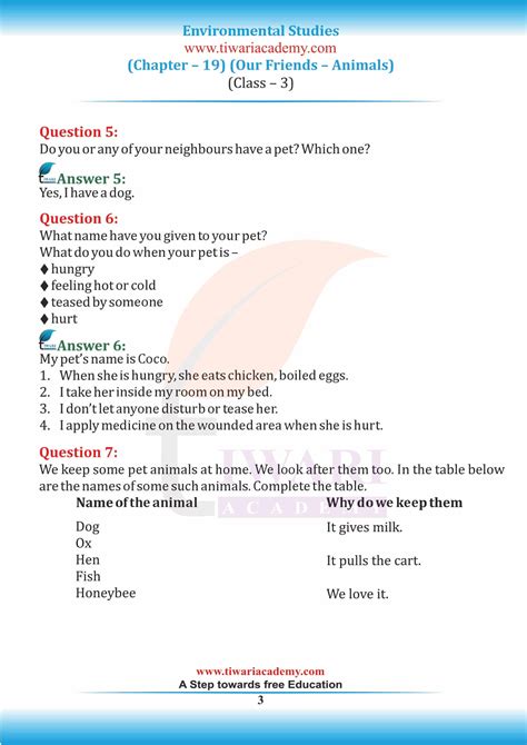 Ncert Solutions For Class 3 Evs Chapter 19 In Hindi And English Medium