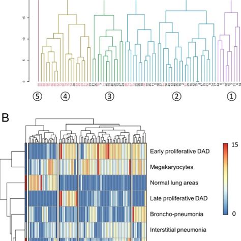 Cluster Analysis A The Dendrogram Of Hierarchical Clustering Patients Download Scientific