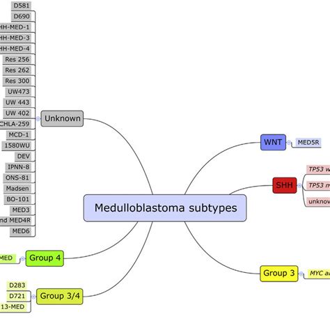 Organisational Chart Of Medulloblastoma Cell Lines Classified By