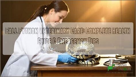 Ball Python Weight And Growth Complete Size Chart By Age Guide