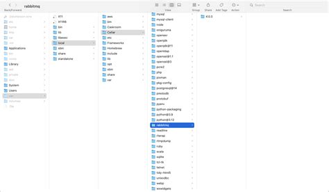 Installing Rabbitmq On Macos And Setting Up Your First Environment Data Nizant