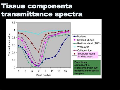 ppt a multispectral image enhancement approach to visualize tissue
