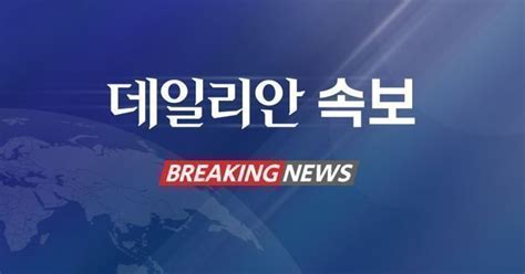 속보 김건희 특검팀 집사 김예성 지명수배제3국 도피