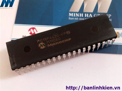 PIC F I P DIP
