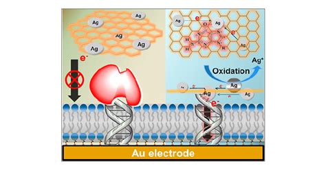 Assembly Of Selective Biomimetic Surface On An Electrode Surface A Design Of Nanobio Interface