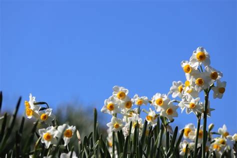 Perpendicular Symbol Bilder Durchsuchen 28 932 Archivfotos Vektorgrafiken Und Videos