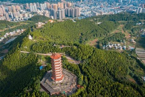 诗里酒里射洪等你射洪十大打卡地入围展示②带你穿越五彩缤纷的射洪 桃花