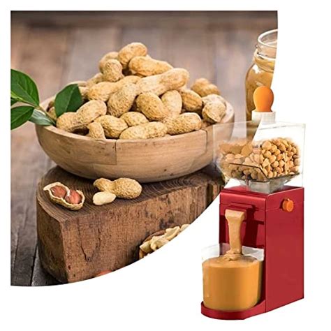 Best Food Processor For Nut Butter Uk Top Picks For Your Kitchen