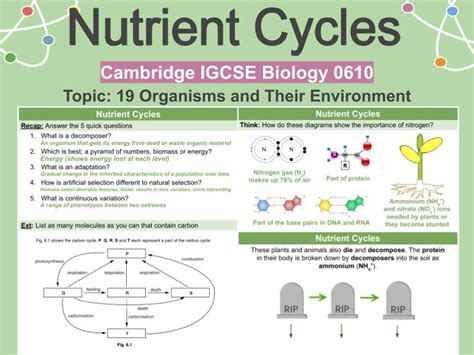 Nutrient Cycles The Carbon Cycle And The Nitrogen Cycle Teaching Resources