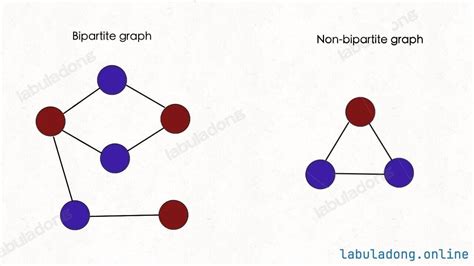 How To Determine A Bipartite Graph Labuladong Algo Notes