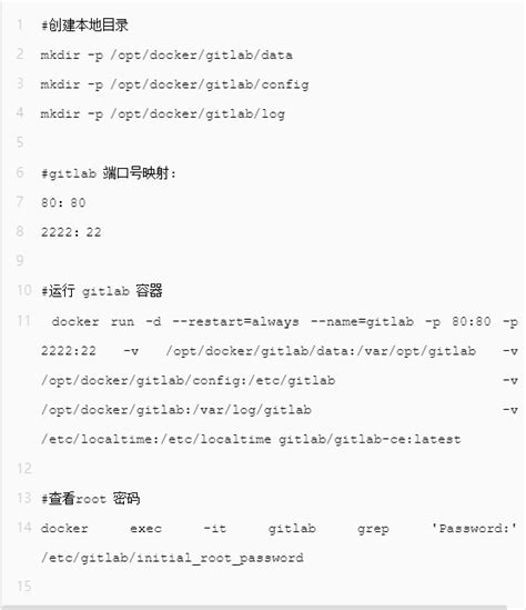 容器化部署指南！手把手教你内网gitlab仓库实现外网访问 Gitlab容器化部署 Csdn博客