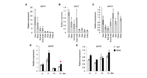 Quantitative Real Time Pcr Analysis Of The Expression Profiles Of Download Scientific Diagram