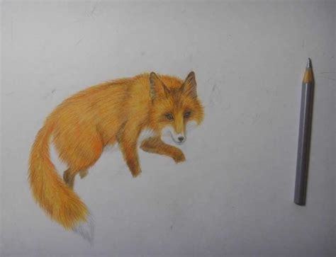 Как нарисовать лису поэтапно красками и карандашом 150 фото лучших