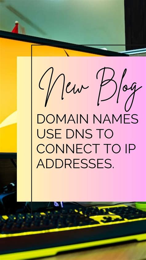 Decoding The Web The DNS And IP Connection