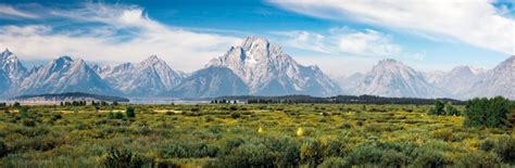 Zhang Lab Functional Nanomaterials Catalysis Energy And Environmental Sustainability