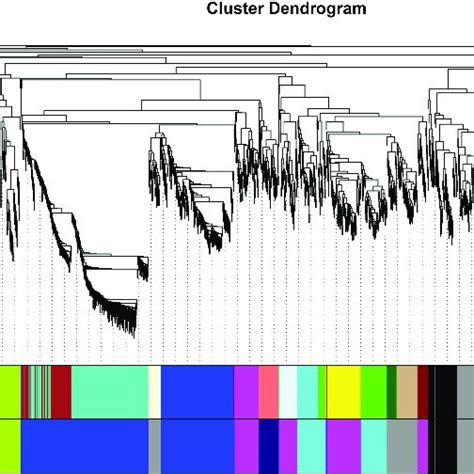 dendrogram of all 2057 candidate genes clustered based on a